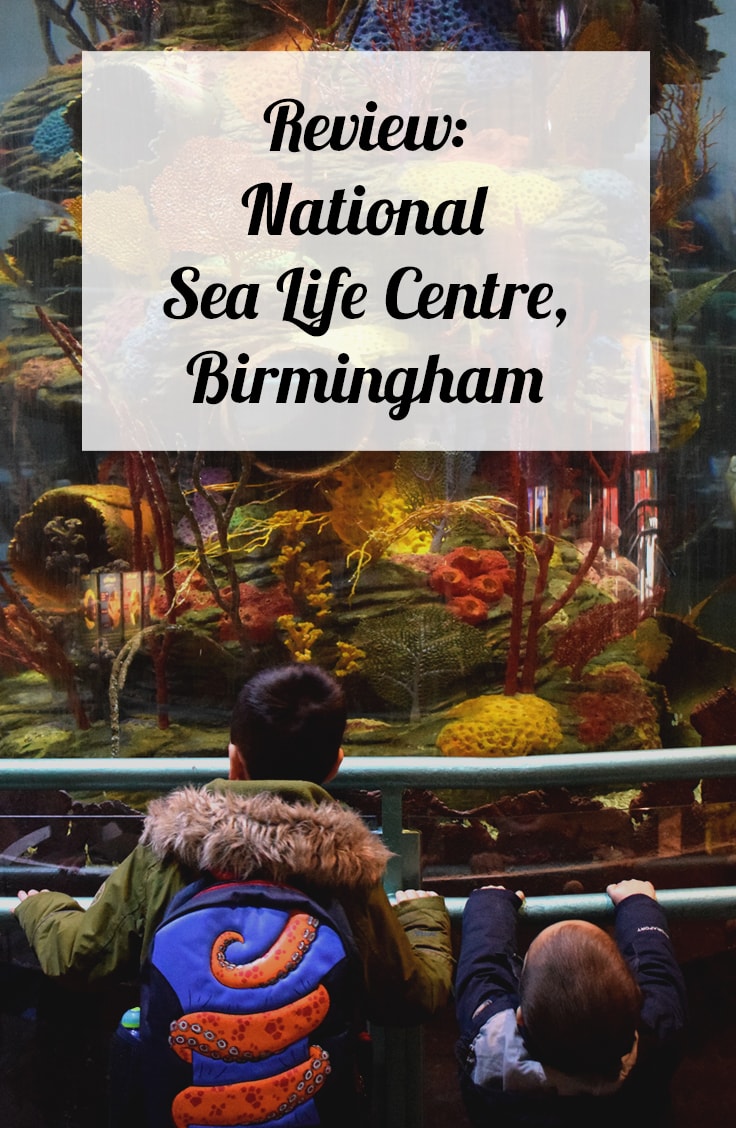 Review: National Sea Life Centre, Birmingham | Suburban Mum