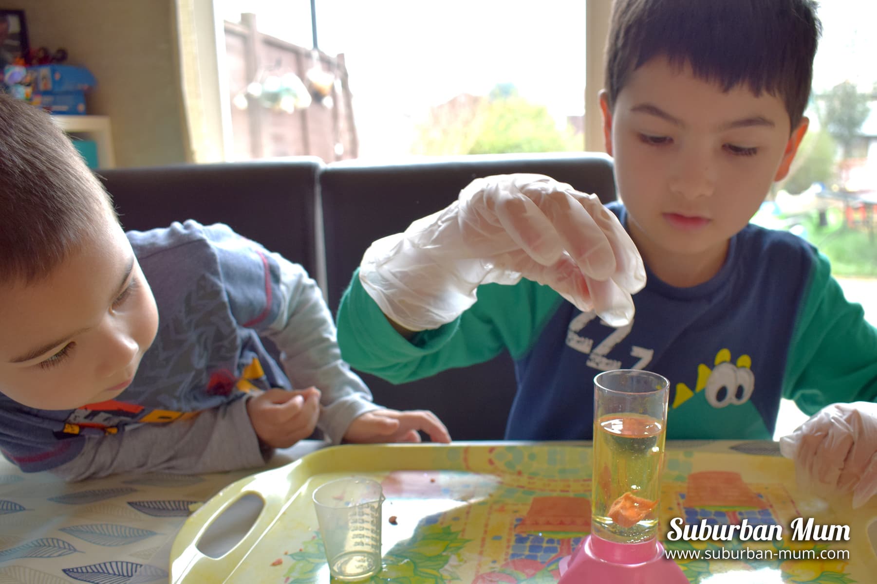 Wild Science Lava Lamp and Glitter Tube Factory | Suburban Mum