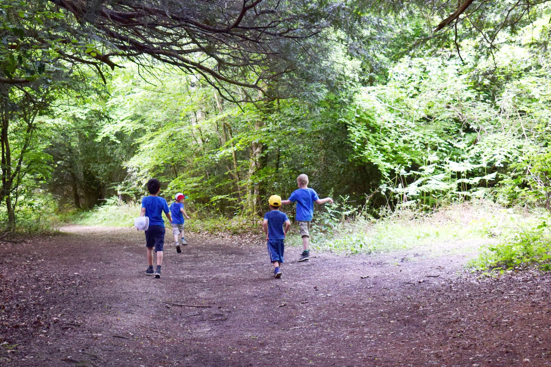 8 Activities For Active Kids | Suburban Mum