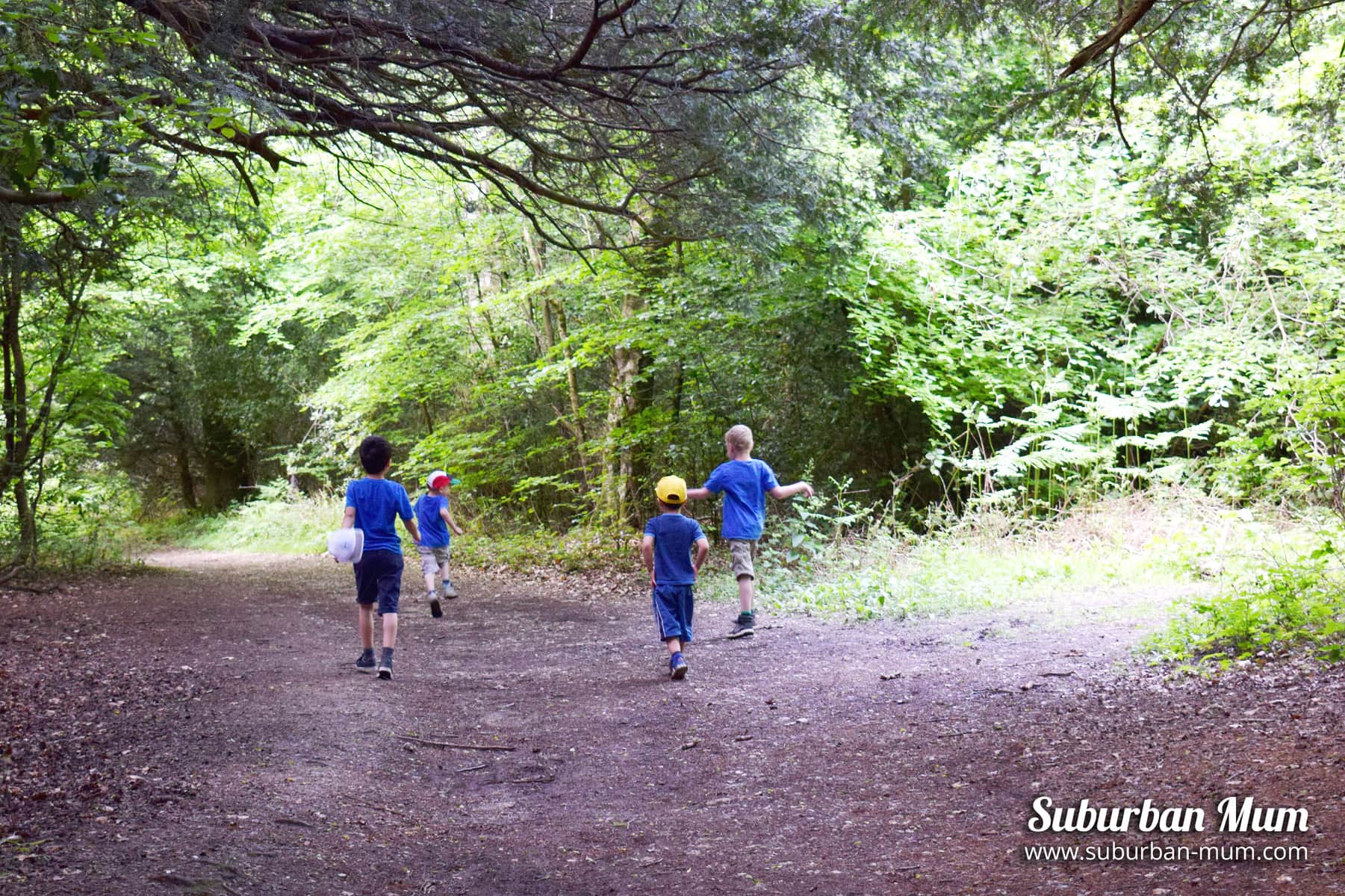 8 Activities For Active Kids | Suburban Mum