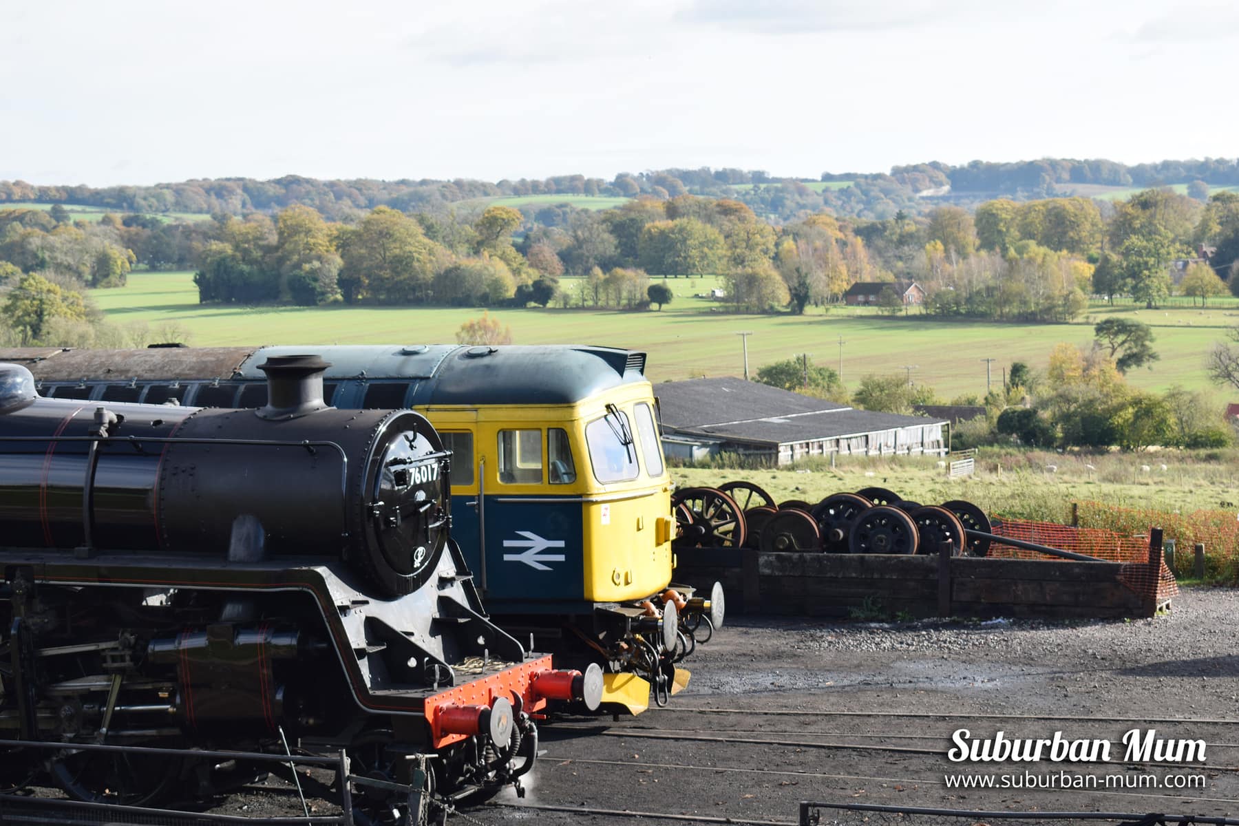 Wizard Weekend at The Watercress Line | Suburban Mum