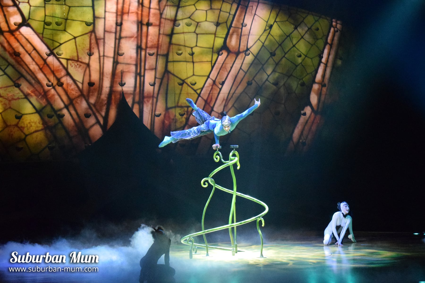 An evening of magical entertainment for the whole family: Cirque du ...