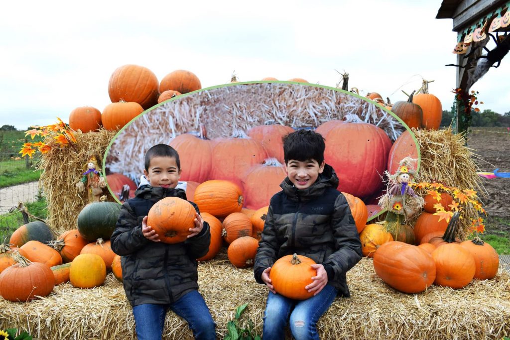 4 places to go Pumpkin Picking in Surrey