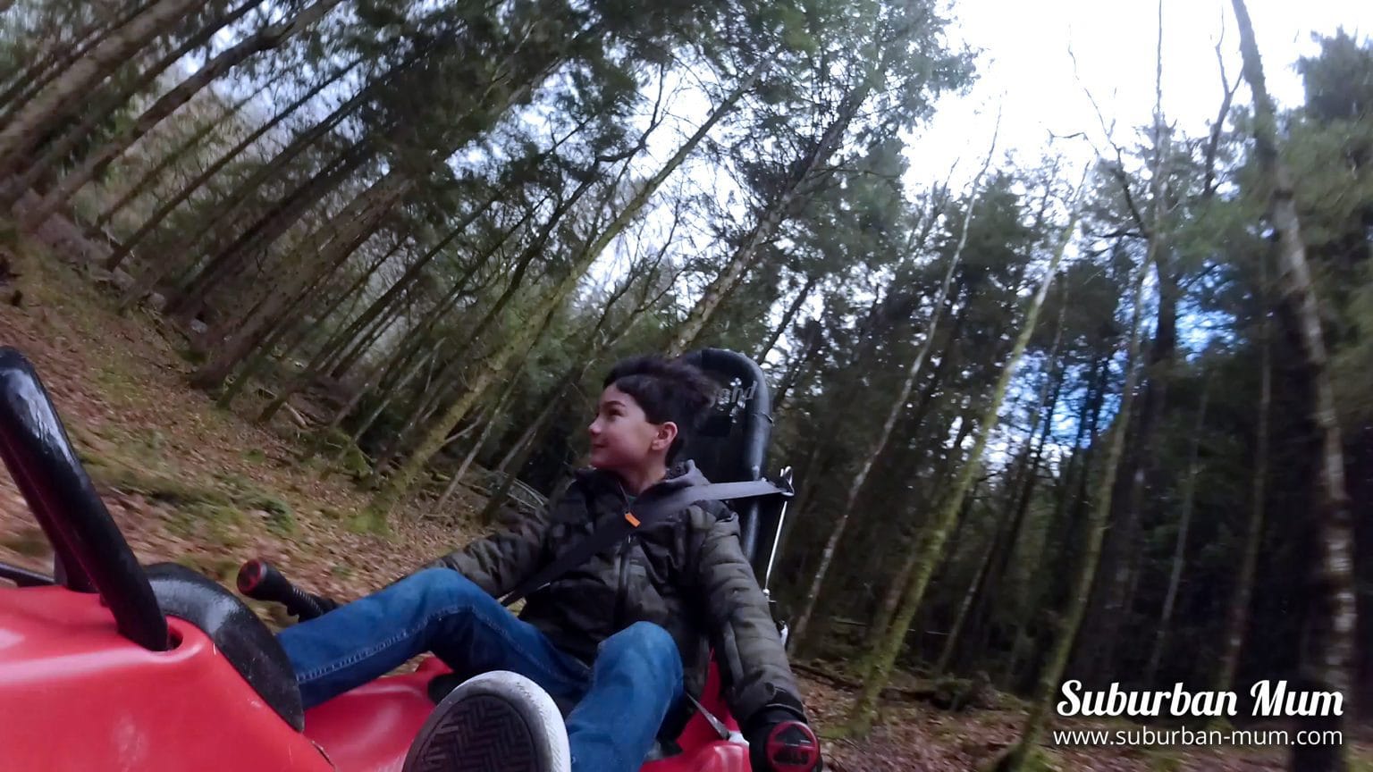 Review: Zip World Fforest Coaster | Suburban Mum