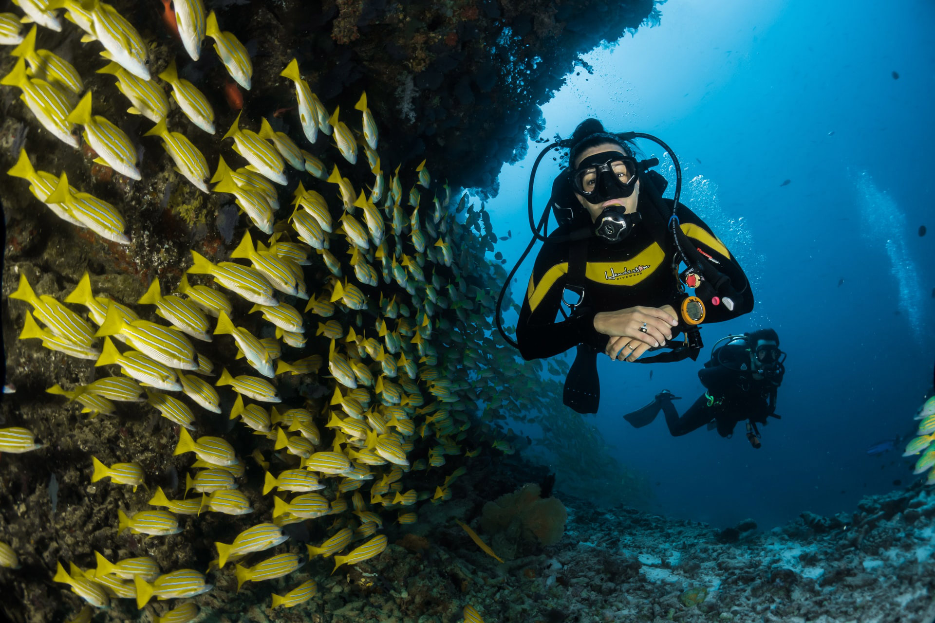 Important things you should know before trying scuba diving | Suburban Mum