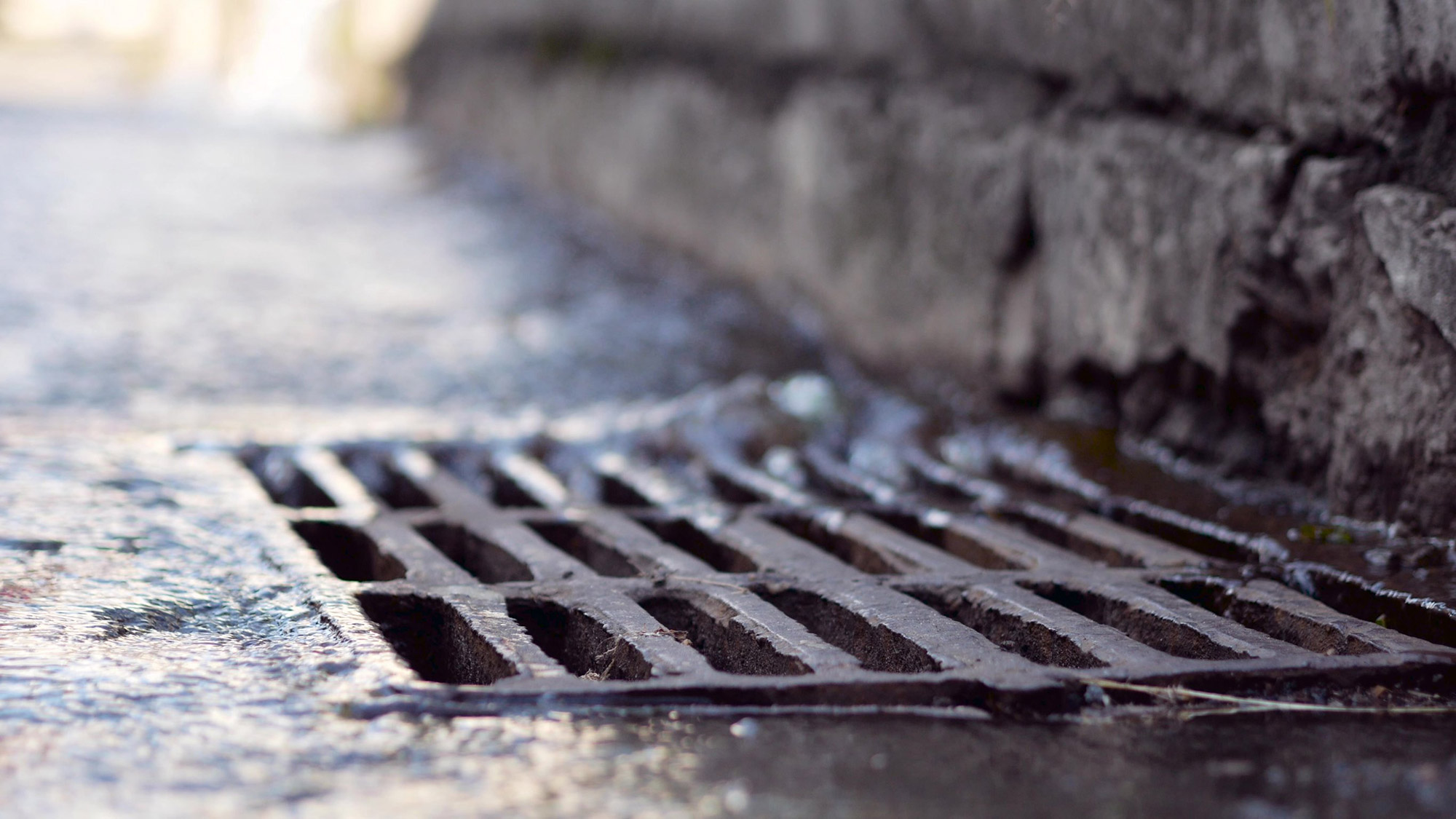 My outside drain is overflowing what can I do? | Suburban Mum